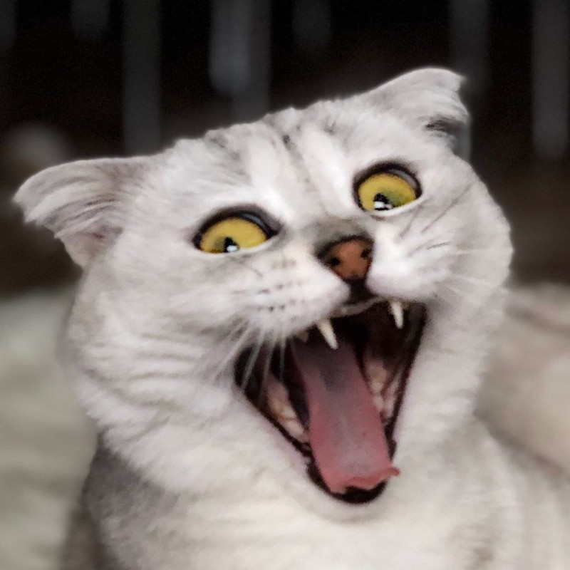 Sonya Kisa (@sonyakisa88) | Snapchat Stories, Spotlight & Lenses