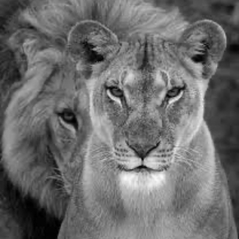 Souhir 🇩🇿🇦🇪 (@souhir_sou2019) | Snapchat Stories, Spotlight & Lenses