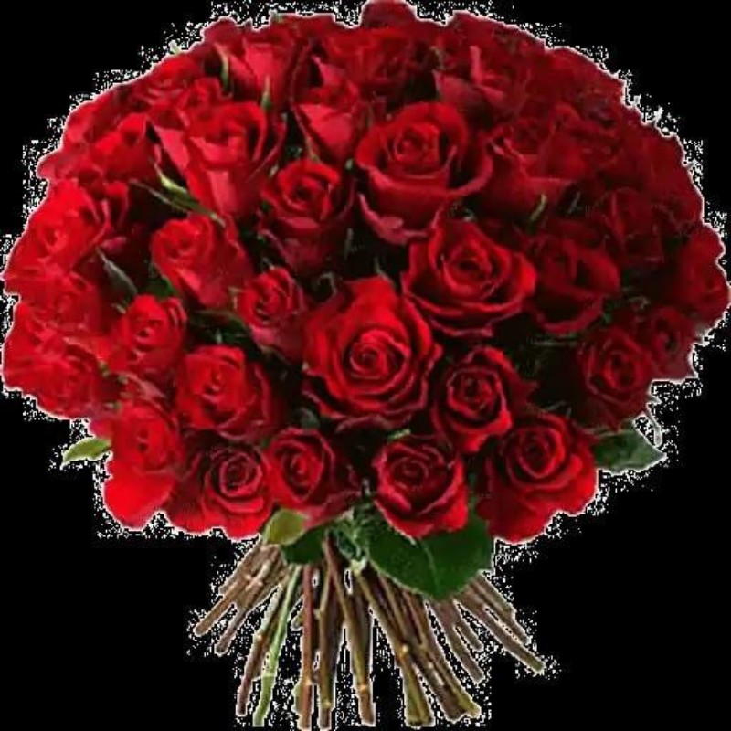 _ponnuZz_ (@soul_taker) | Snapchat Stories, Spotlight & Lenses