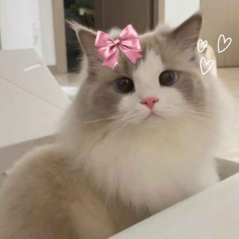 sparkle_07 (@sparkle_0765) | Snapchat Stories, Spotlight & Lenses