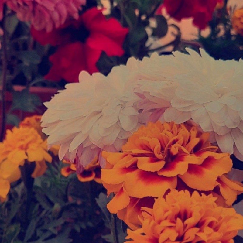 Sa🧚‍♀️ (@ss-a1) | Snapchat Stories, Spotlight & Lenses