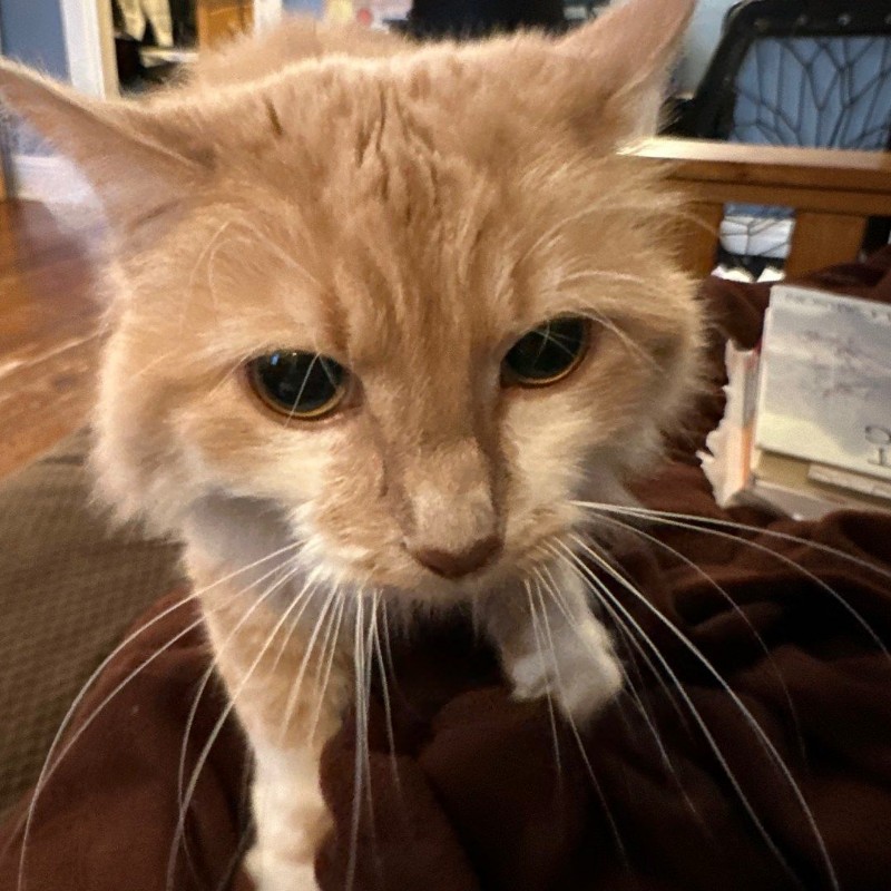 Skyler Porter (@ssskylerp) | Snapchat Stories, Spotlight & Lenses