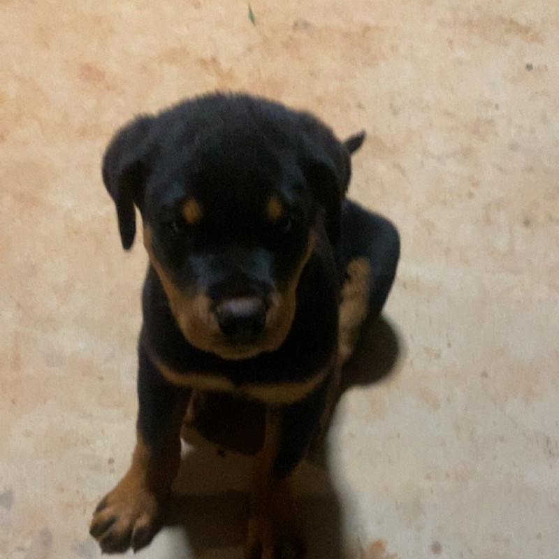 Isaac Stallan🏈🔛🔝☑️ (@stallo490) | Snapchat Stories, Spotlight & Lenses