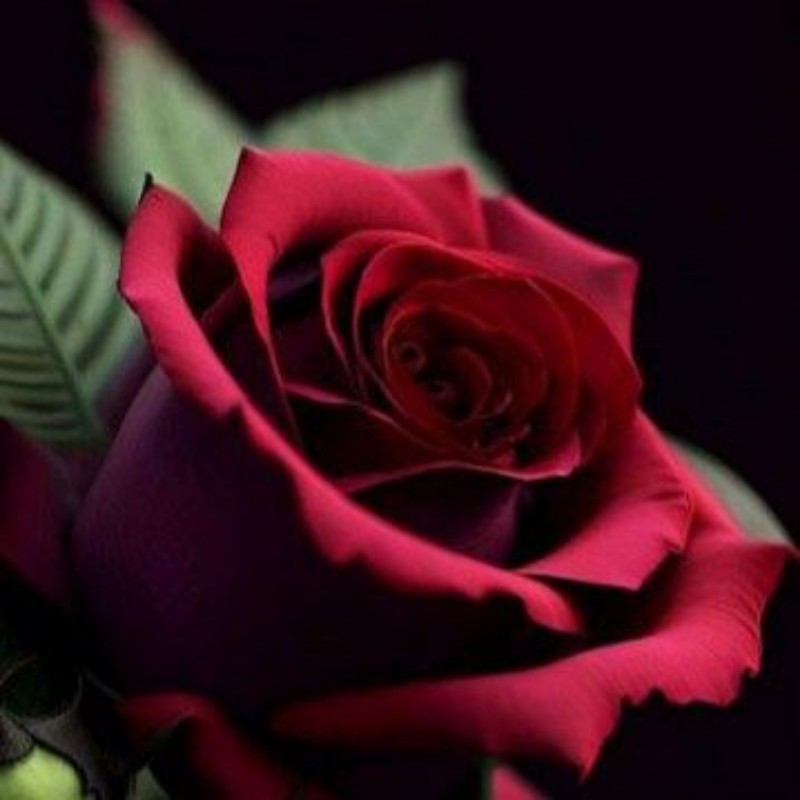 Stephanie Pina (@stephanie_p2826) | Snapchat Stories, Spotlight & Lenses