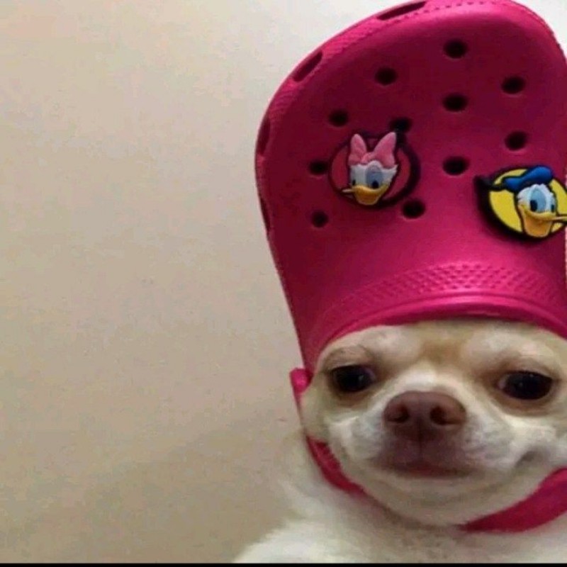 Stephen (@stephen_321) | Snapchat Stories, Spotlight & Lenses