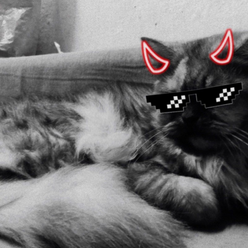 SumMit (@summitlohare) | Snapchat Stories, Spotlight & Lenses