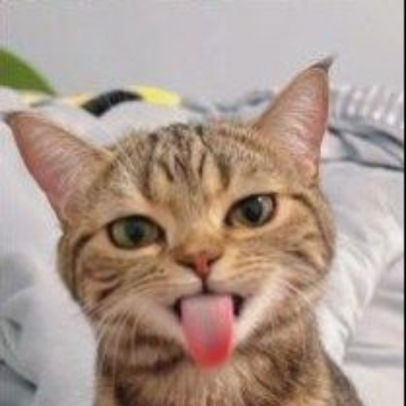 SUPERCHIEFYT (@superchief.boop) | Snapchat Stories, Spotlight & Lenses