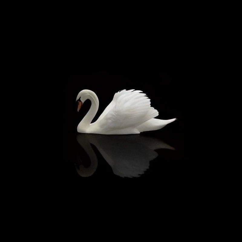 𝘚𝘸𝘢𝘯 🦢 (@swnesthetic) | Snapchat Stories, Spotlight & Lenses