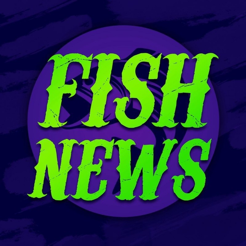 Talking Fish news (@talkingfish0) | Snapchat Stories, Spotlight & Lenses