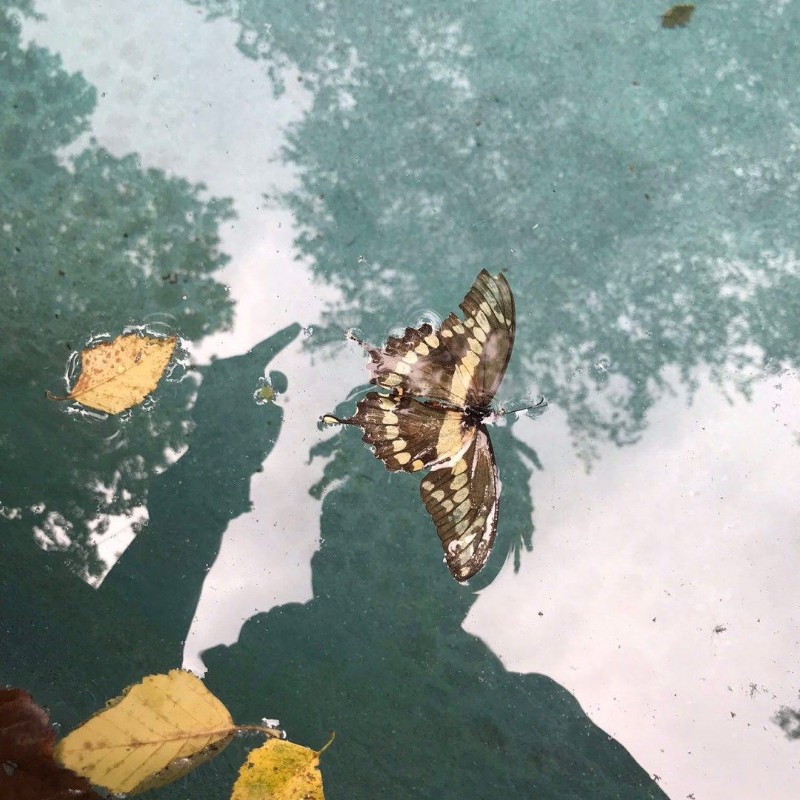 𝚁𝚎𝚢𝚕𝚒𝚗 𝙶𝚎𝚛𝚘𝚗𝚒𝚖𝚘 (@teamsingable) | Snapchat Stories, Spotlight & Lenses