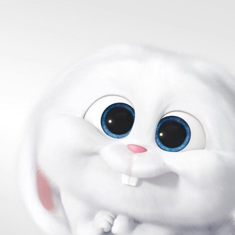🐇. RABBIT .🐇 (@tecnop2021904) | Snapchat Stories, Spotlight & Lenses