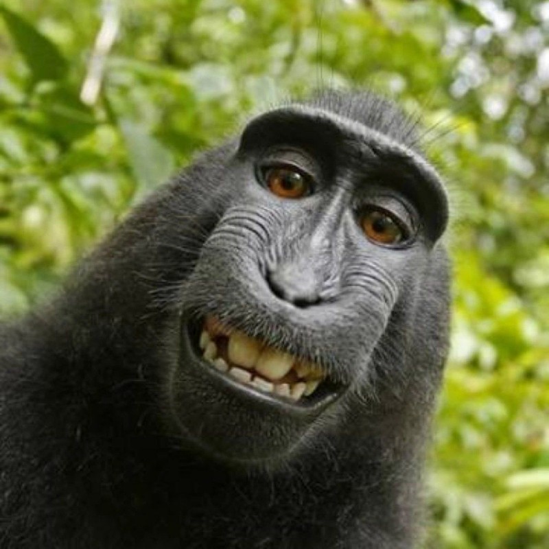 Text fact 1 (@textfact25) | Snapchat Stories, Spotlight & Lenses