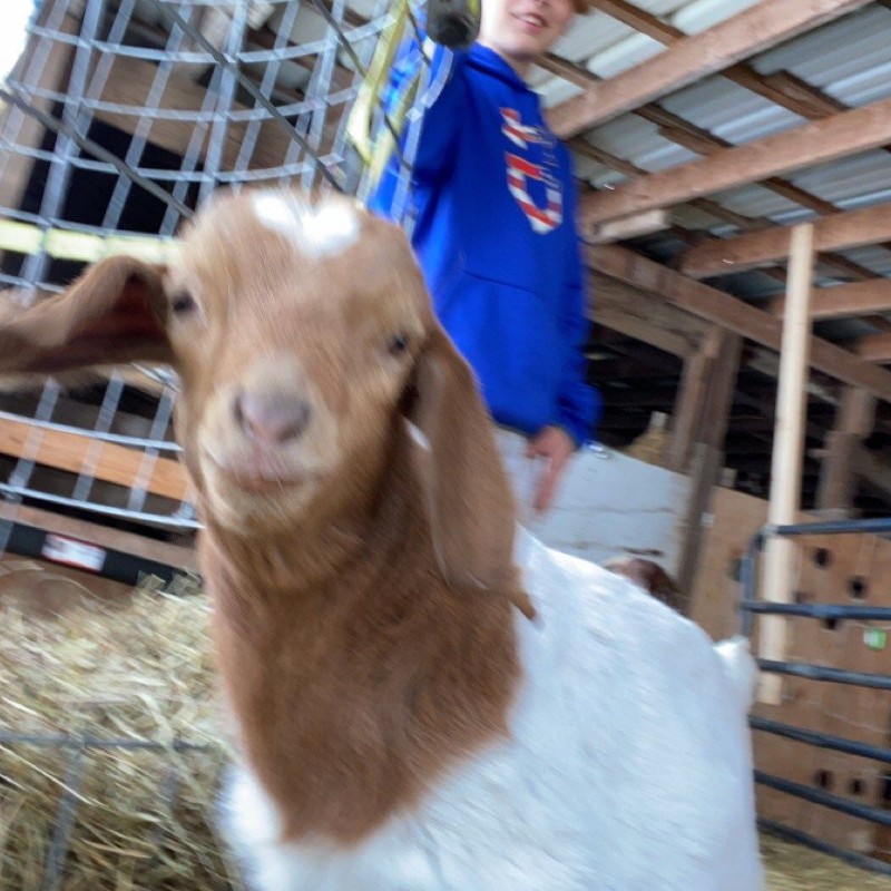 drake🍃 (@that-can) | Snapchat Stories, Spotlight & Lenses