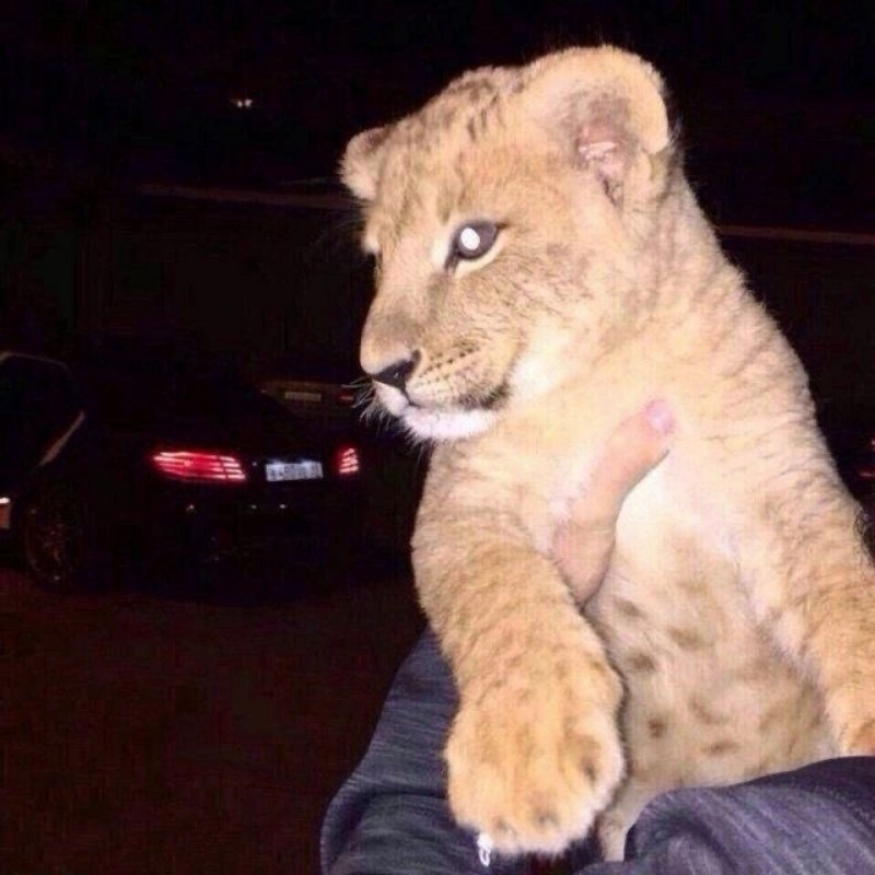 A҈y҈d҈a҈n҈♕🇬🇪 (@the_ayoooo) | Snapchat Stories, Spotlight & Lenses