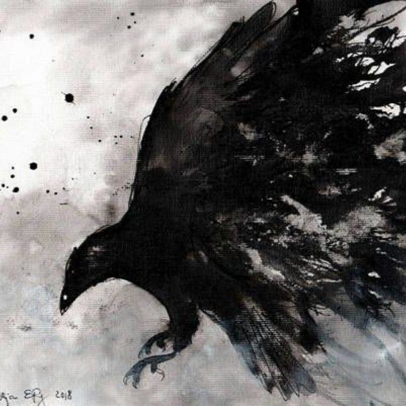 The Creature Feature (@thecreatureftur) | Snapchat Stories, Spotlight ...