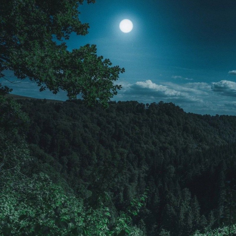 Nature (@thenatureshorts) | Snapchat Stories, Spotlight & Lenses