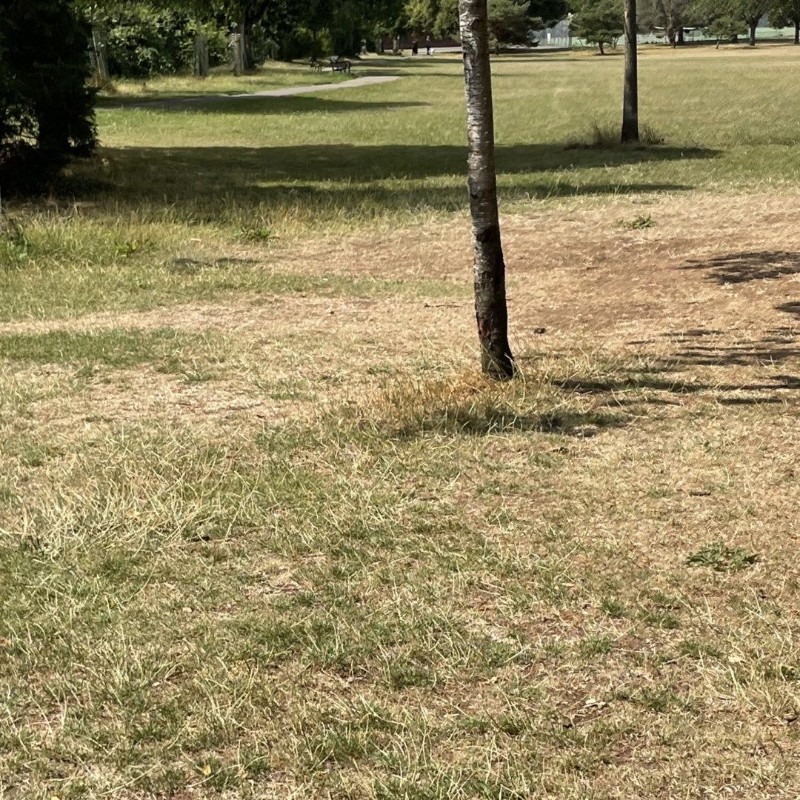 Theodore Smith (@theodore5577) | Snapchat Stories, Spotlight & Lenses