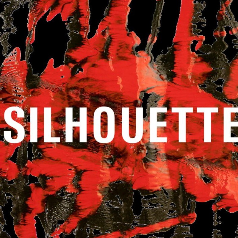 The Silhouette Studio (@thesilhouettest) | Snapchat Stories, Spotlight ...