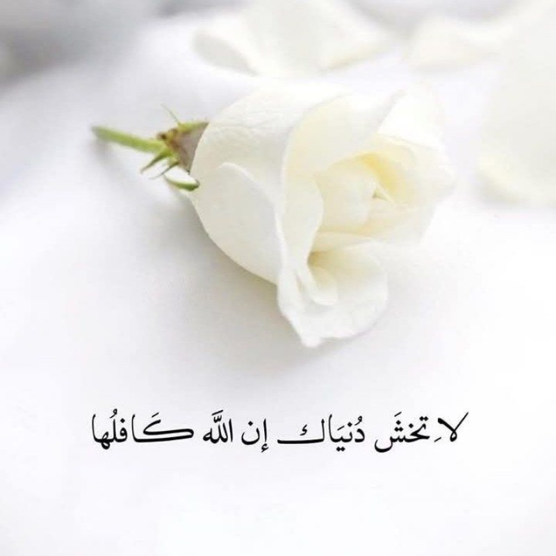 👑 الملكه 👑 (@thetiger8448) | Snapchat Stories, Spotlight & Lenses