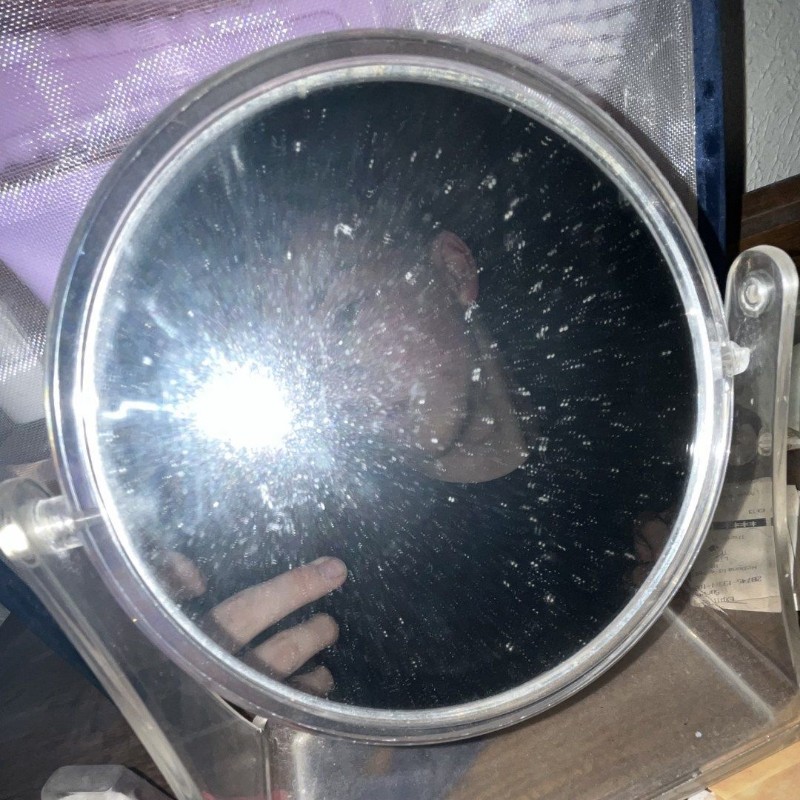 𝒮ℯ𝒷𝒷𝓎シ (@theyluv_sebby14) | Snapchat Stories, Spotlight & Lenses