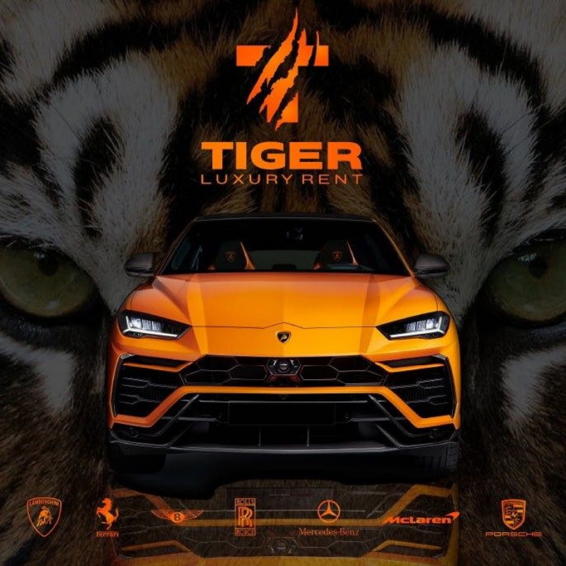 Tiger Luxury Rent 🐅 (@tigerluxuryrent) | Snapchat Stories, Spotlight ...
