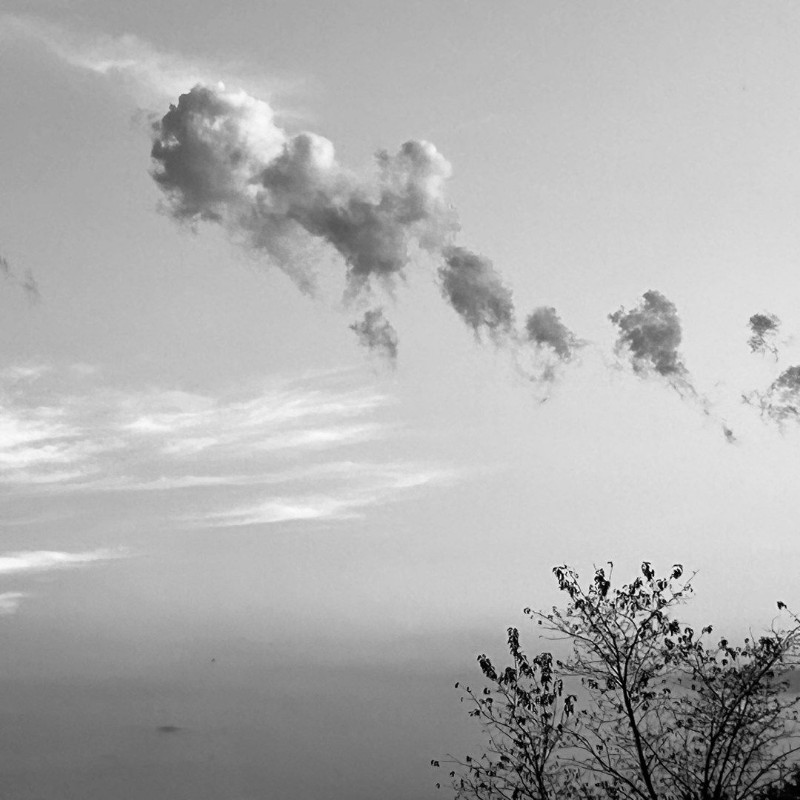 Trent Martin (@tnmart1703) | Snapchat Stories, Spotlight & Lenses