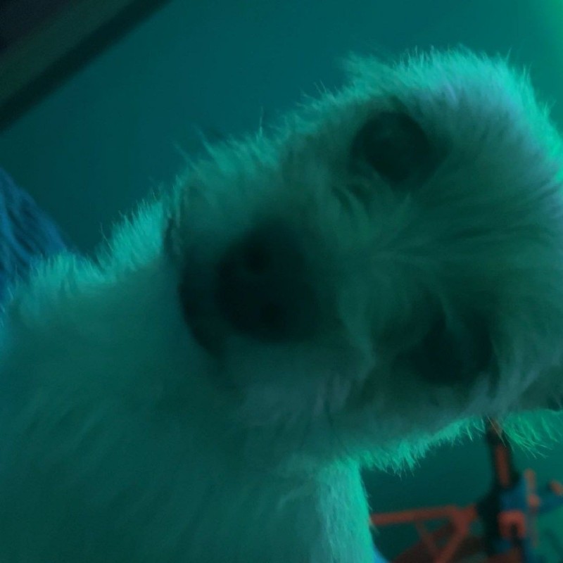 Toby Jake (@toby-jake2025) | Snapchat Stories, Spotlight & Lenses