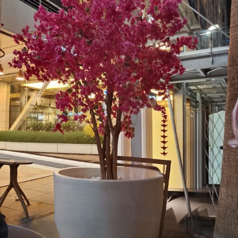 Star ⭐ 😊 (@toleen_alrawash) | Snapchat Stories, Spotlight & Lenses