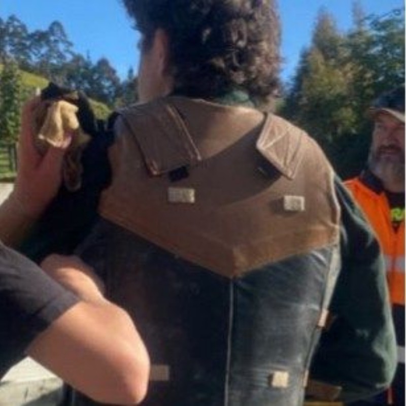 Toria (@toria8172) | Snapchat Stories, Spotlight & Lenses