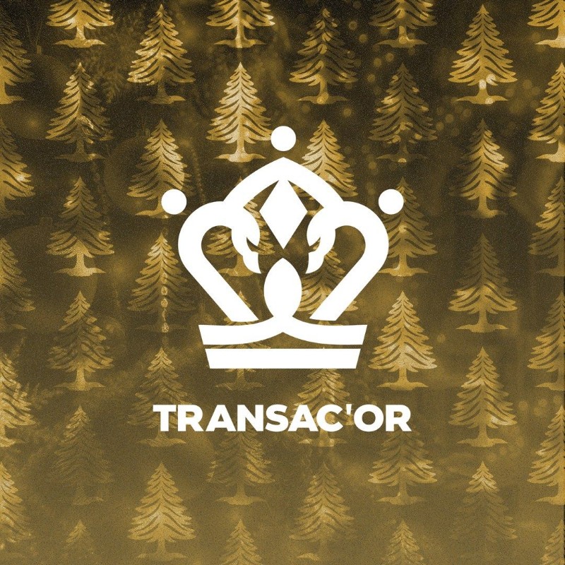 TRANSAC’OR⚜️ (@transac-or) | Snapchat Stories, Spotlight & Lenses