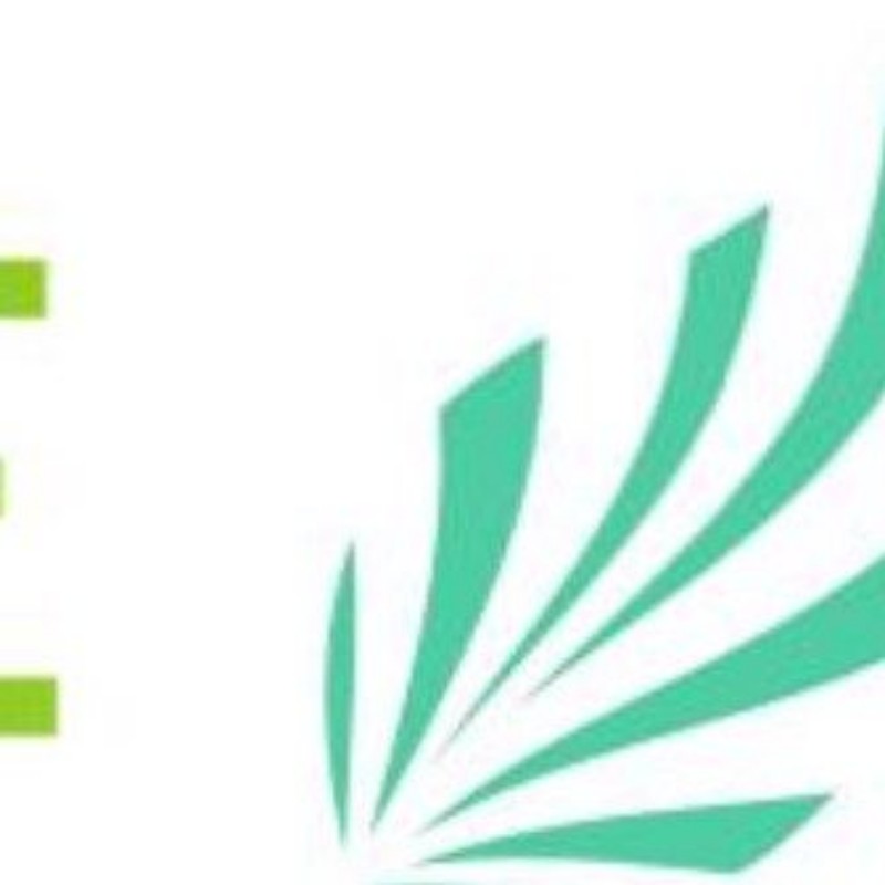 TREE KSA (@tree_ksa) | Snapchat Stories, Spotlight & Lenses