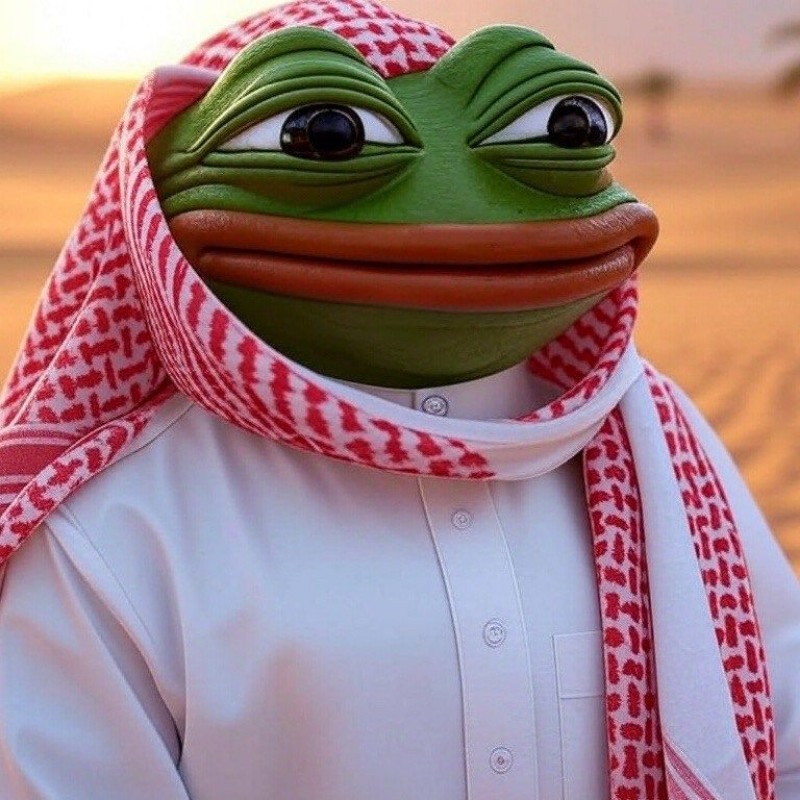 Trend_Reels ترند🦍 (@trend_reels) | Snapchat Stories, Spotlight & Lenses