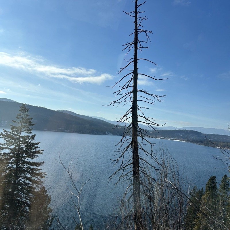 Ace Troy Boy (@troyboyyt) | Snapchat Stories, Spotlight & Lenses