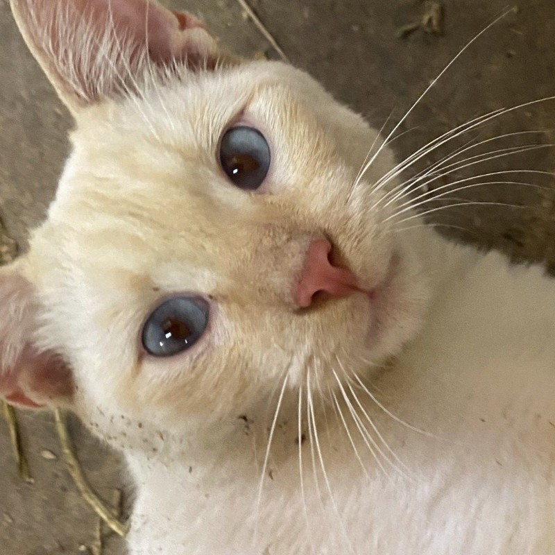 Truds (@trudyf_04) | Snapchat Stories, Spotlight & Lenses