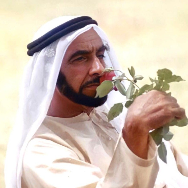 UAE 🇦🇪 (@uae) | Snapchat Stories, Spotlight & Lenses