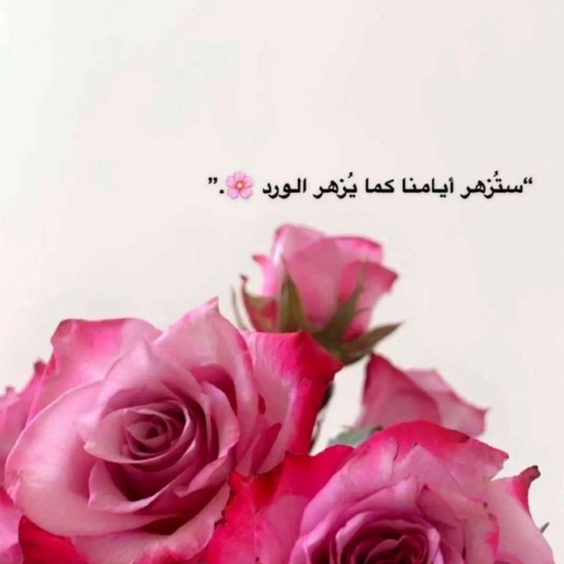 Shumukh (@uiop_ii20) | Snapchat Stories, Spotlight & Lenses