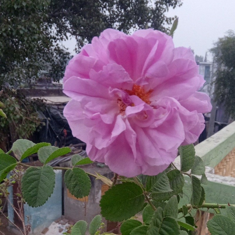 🥰Army Lover🥰 (@user792802590) | Snapchat Stories, Spotlight & Lenses