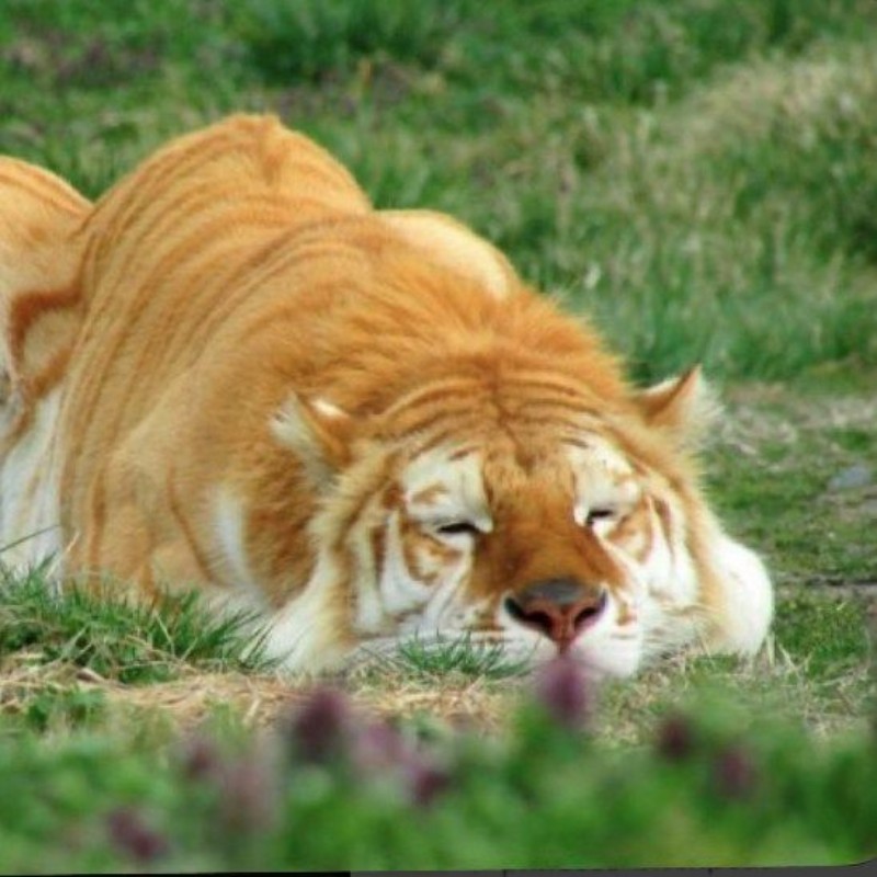 Anna (@v3siok) | Snapchat Stories, Spotlight & Lenses