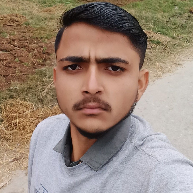 Vishal Rajput (@v979508) | Snapchat Stories, Spotlight & Lenses