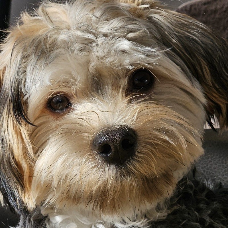 🕷🌹(@vacky_vroom) | เรื่องราว Snapchat ตลอดจน Spotlight และเลนส์