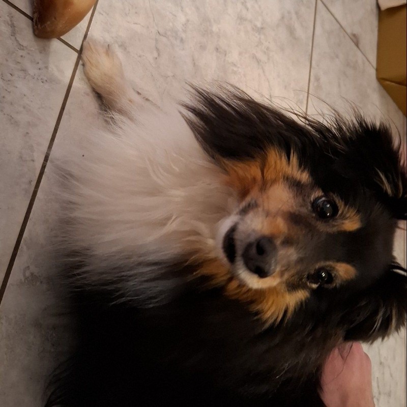 Valentin 🤞 (@valentin7643227) | Snapchat Stories, Spotlight & Lenses