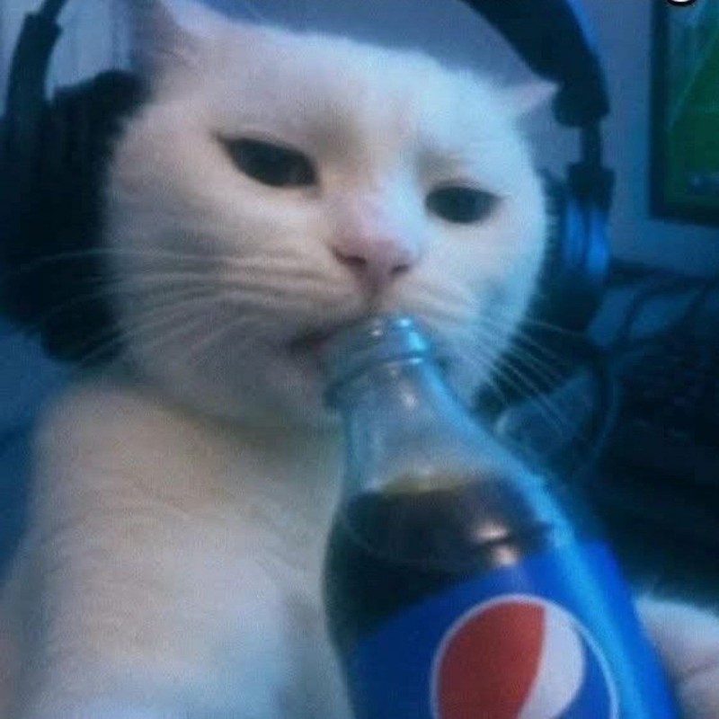 Vass......!🧋 (@vassss_0) | Snapchat Stories, Spotlight & Lenses