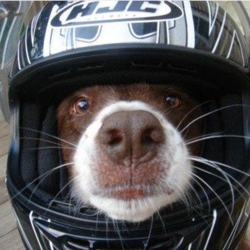 Venus Star (@venus_sstar) | Snapchat Stories, Spotlight & Lenses