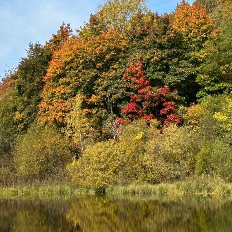 Vicky Vik (@vicky_vik22) | Snapchat Stories, Spotlight & Lenses