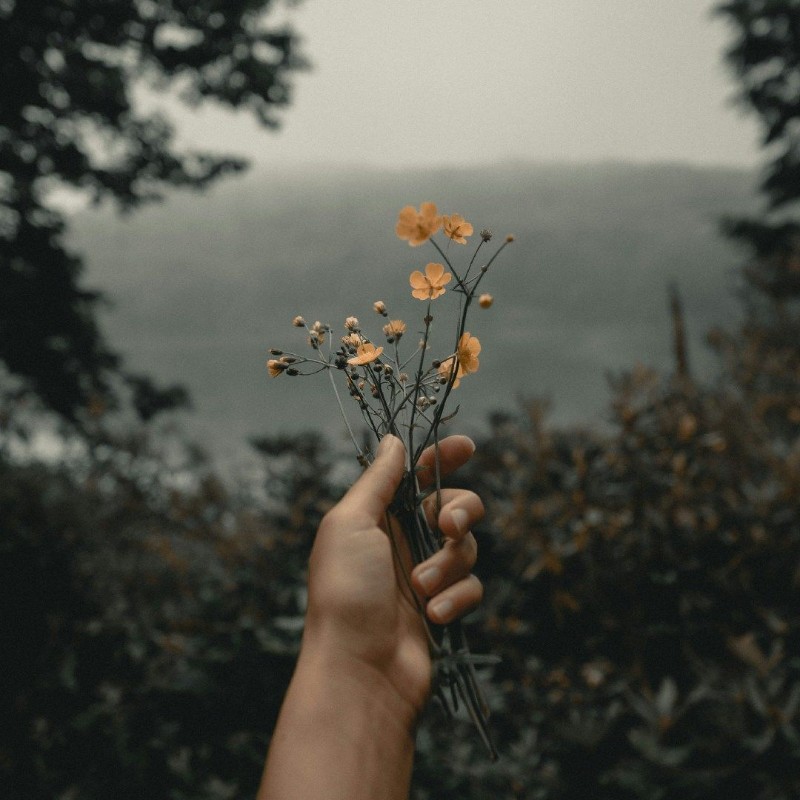 Vikelsik (@vikelsik2002) | Snapchat Stories, Spotlight & Lenses