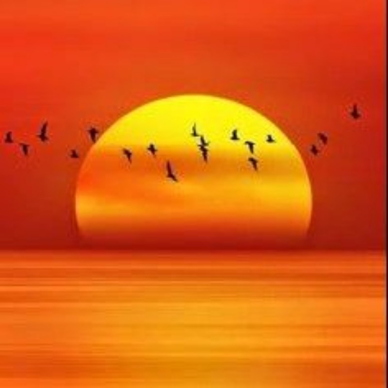 Sad Boy😔 (@vinay_verma098) | Snapchat Stories, Spotlight & Lenses