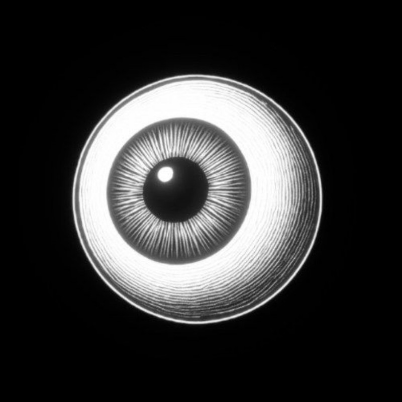 Vision Unlocked (@visiondecrypted) | Snapchat Stories, Spotlight & Lenses