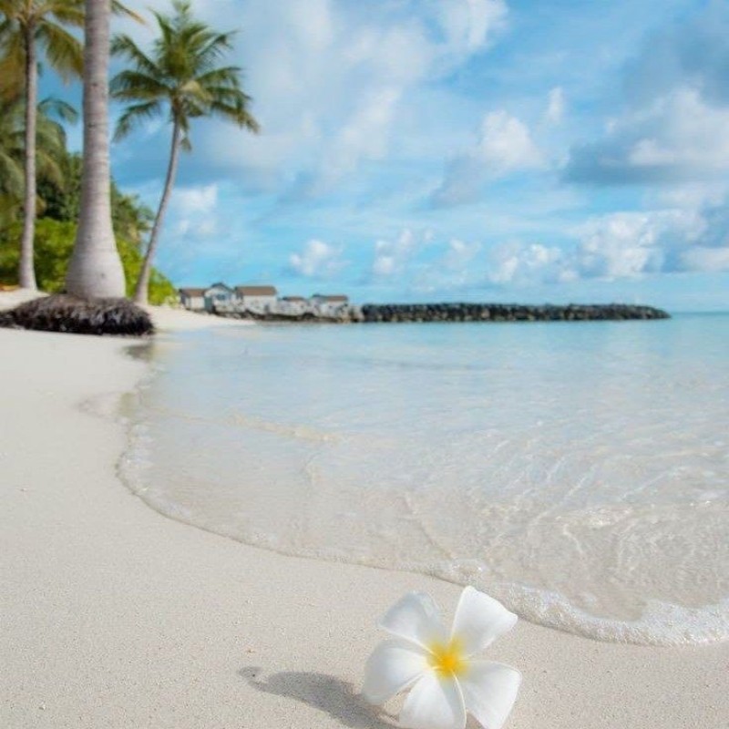 ♏ (@vw212vw) | Snapchat Stories, Spotlight & Lenses