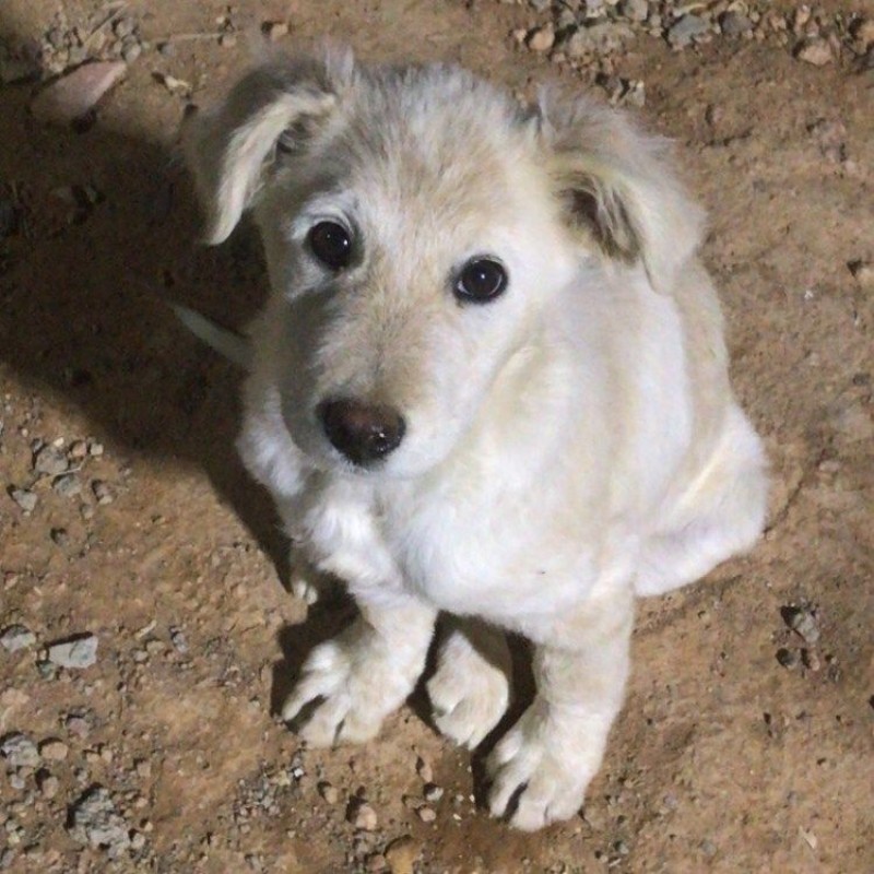 srn! (@vx.sir1) | Snapchat Stories, Spotlight & Lenses