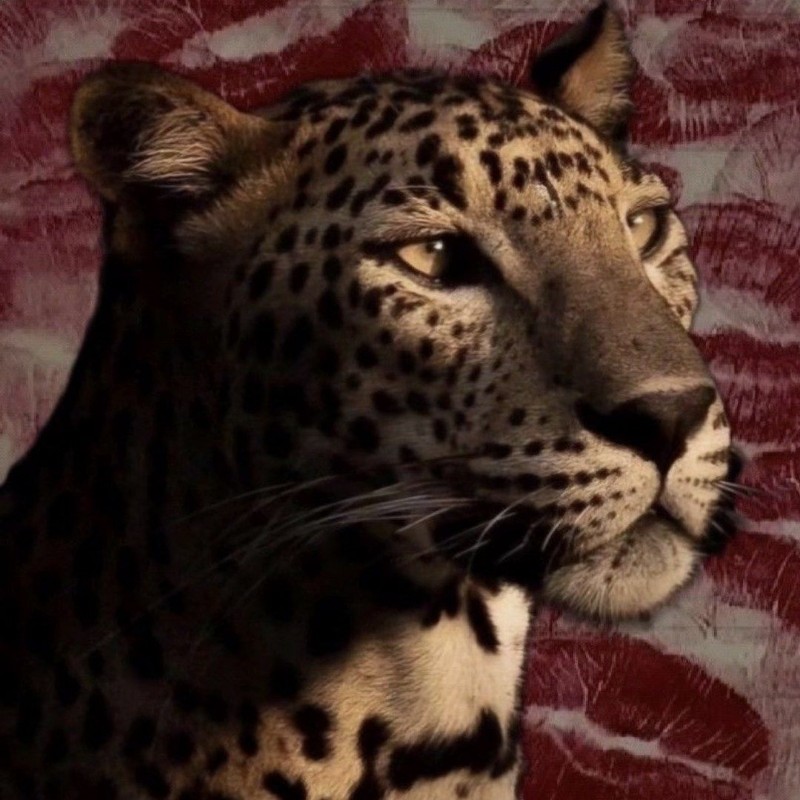 w.vcxz (@w.vcxz) | Snapchat Stories, Spotlight & Lenses